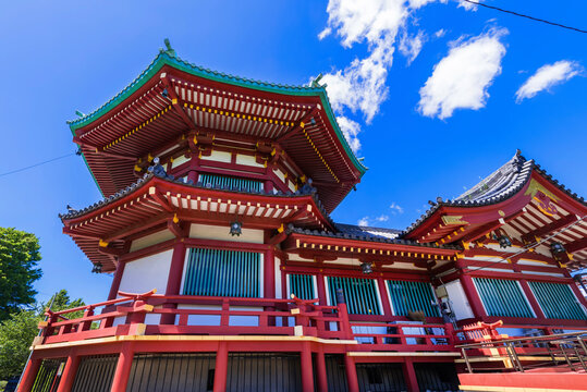 รูปภาพCatamite – เลือกดูภาพถ่ายสต็อก เวกเตอร์ และวิดีโอ1,098 | Adobe Stock