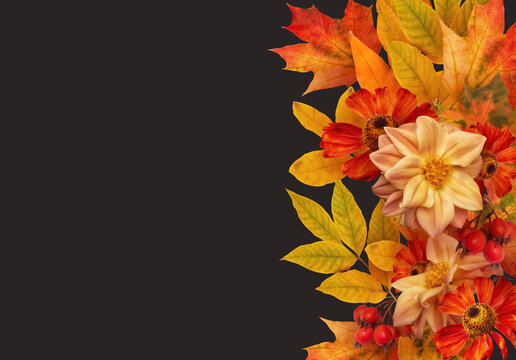 Fall Flowers Backgrounds