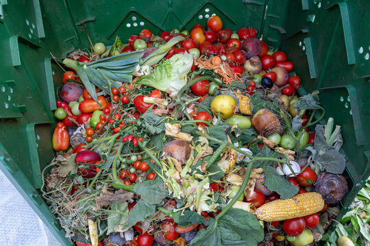 รูปภาพVerwesung – เลือกดูภาพถ่ายสต็อก เวกเตอร์ และวิดีโอ735 | Adobe Stock