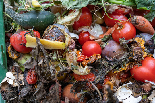 Verwesung bilder – Bläddra bland 733 stockfoton, vektorer och videor ...