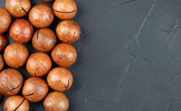 "Bush Nut" Immagini - Sfoglia 890 foto, vettoriali e video Stock ...