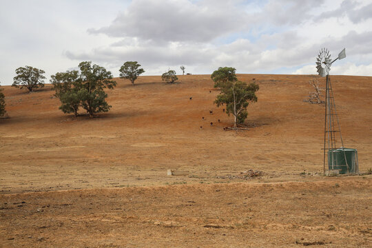 รูปภาพOvergrazing – เลือกดูภาพถ่ายสต็อก เวกเตอร์ และวิดีโอ532 | Adobe Stock