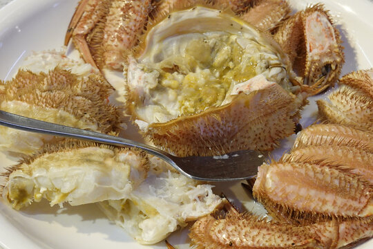 Kegani Images – Browse 54 Stock Photos, Vectors, and Video | Adobe Stock