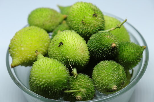 รูปภาพKankada – เลือกดูภาพถ่ายสต็อก เวกเตอร์ และวิดีโอ74 | Adobe Stock