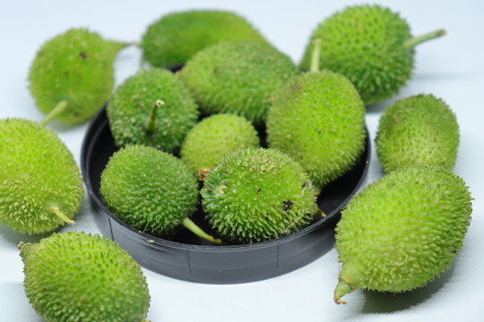 รูปภาพKankada – เลือกดูภาพถ่ายสต็อก เวกเตอร์ และวิดีโอ93 | Adobe Stock