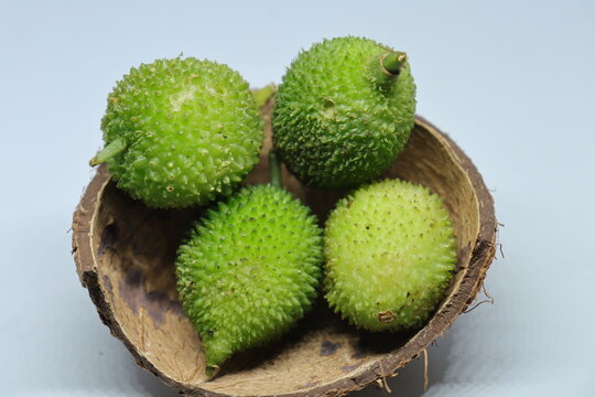 Kankada bilder – Bläddra bland 89 stockfoton, vektorer och videor ...