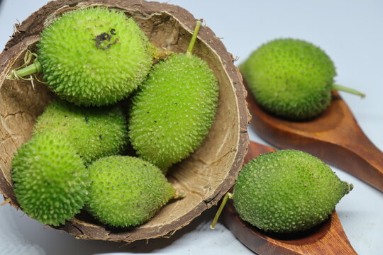 Kankada bilder – Bläddra bland 75 stockfoton, vektorer och videor ...