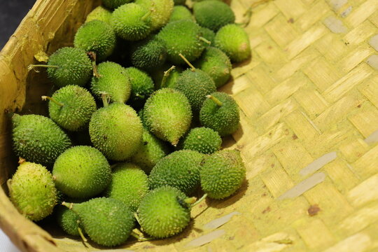 รูปภาพKankada – เลือกดูภาพถ่ายสต็อก เวกเตอร์ และวิดีโอ74 | Adobe Stock