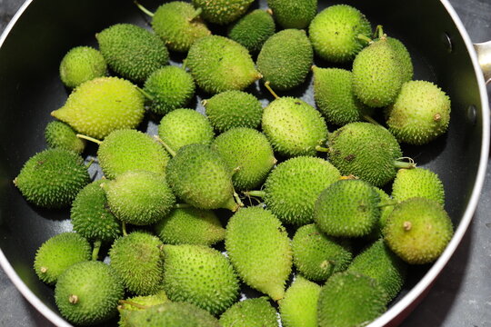 Kankada bilder – Bläddra bland 89 stockfoton, vektorer och videor ...