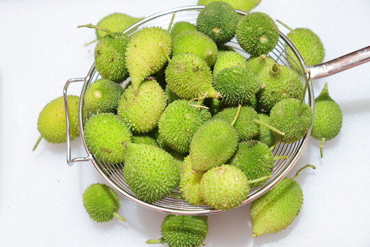 Kankada bilder – Bläddra bland 75 stockfoton, vektorer och videor ...