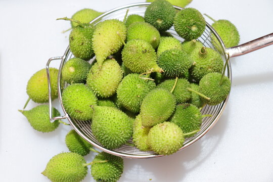 รูปภาพKankada – เลือกดูภาพถ่ายสต็อก เวกเตอร์ และวิดีโอ74 | Adobe Stock