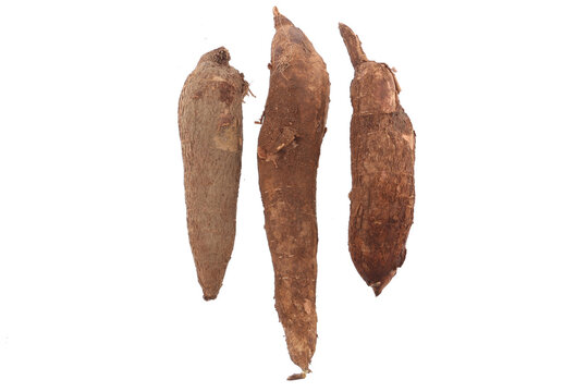 Maracheeni Images – Browse 56 Stock Photos, Vectors, and Video | Adobe ...