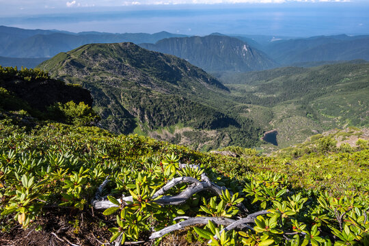 Imágenes de Khamar-Daban: descubre bancos de fotos, ilustraciones ...