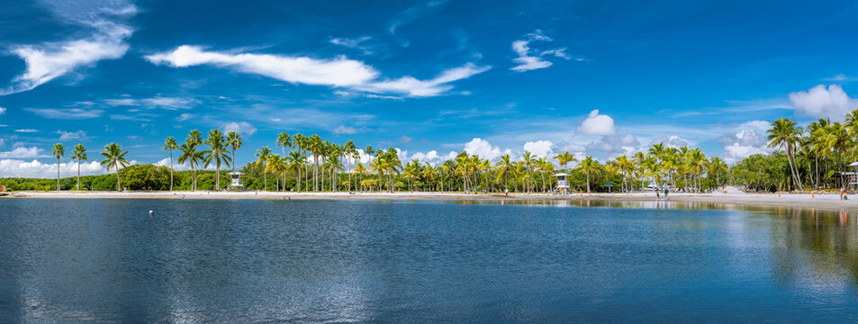 รูปภาพPalmas – เลือกดูภาพถ่ายสต็อก เวกเตอร์ และวิดีโอ14,432 | Adobe Stock