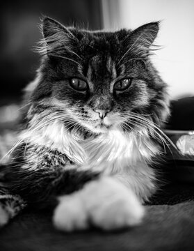 Chilln-Bilder: Stock-Fotos & -Videos. | Adobe Stock