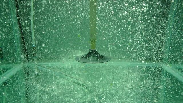 Enrichment Images – Browse 8,053 Stock Photos, Vectors, and Video ...