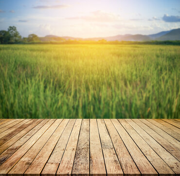 Tabletop Rice Field Backdrop Images – Browse 390 Stock Photos, Vectors ...
