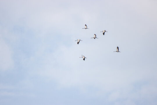 Schnacke Bilder – Durchsuchen 5,696 Archivfotos, Vektorgrafiken und ...