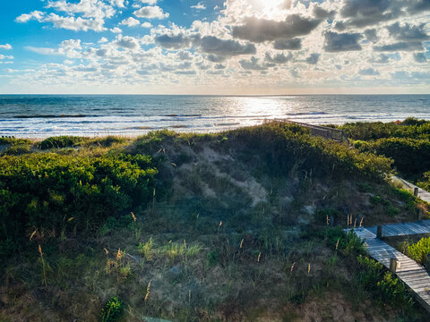 Imágenes de Obx: descubre bancos de fotos, ilustraciones, vectores y ...