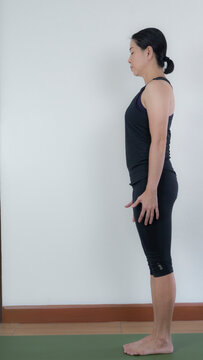 Samasthiti Imagens – Procure 160 fotos, vetores e vídeos | Adobe Stock