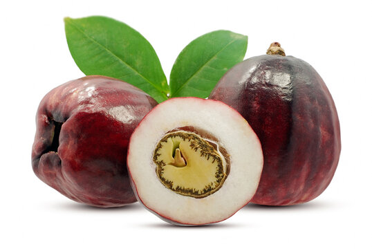 รูปภาพPomerac – เลือกดูภาพถ่ายสต็อก เวกเตอร์ และวิดีโอ137 | Adobe Stock