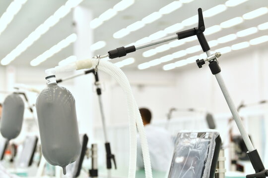 Ivl Images – Browse 27 Stock Photos, Vectors, and Video | Adobe Stock