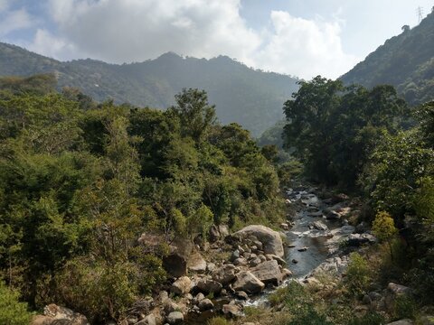 Manjoor Images – Browse 34 Stock Photos, Vectors, and Video | Adobe Stock