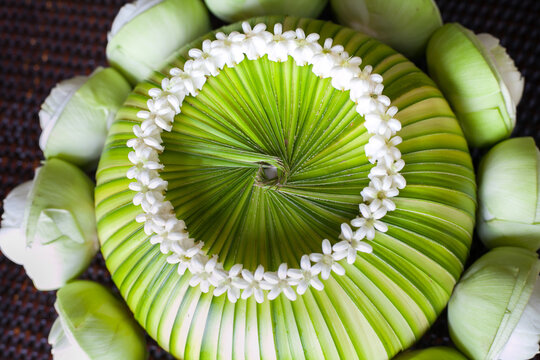 รูปภาพMaak – เลือกดูภาพถ่ายสต็อก เวกเตอร์ และวิดีโอ175 | Adobe Stock