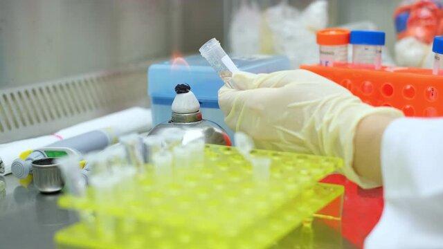 "Biosafety Cabinet" Images – Browse 361 Stock Photos, Vectors, and ...