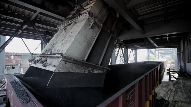 Dupe Images – Browse 2,386 Stock Photos, Vectors, and Video | Adobe Stock