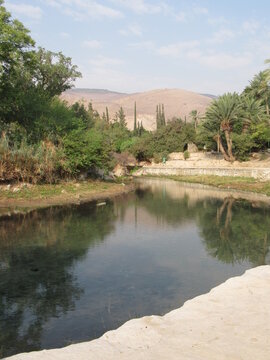 Sachne Images – Browse 37 Stock Photos, Vectors, and Video | Adobe Stock