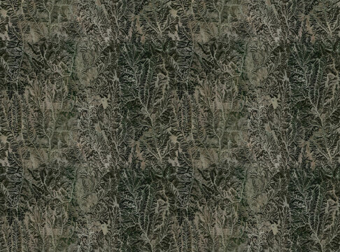 Camuflado Images – Browse 488 Stock Photos, Vectors, and Video | Adobe ...