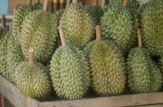 รูปภาพDurion – เลือกดูภาพถ่ายสต็อก เวกเตอร์ และวิดีโอ37,187 | Adobe Stock