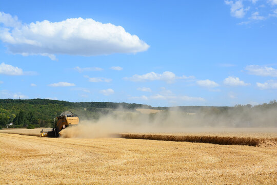รูปภาพMoisson – เลือกดูภาพถ่ายสต็อก เวกเตอร์ และวิดีโอ16,677 | Adobe Stock
