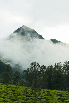 Wayanad Images – Browse 1,071 Stock Photos, Vectors, and Video | Adobe ...