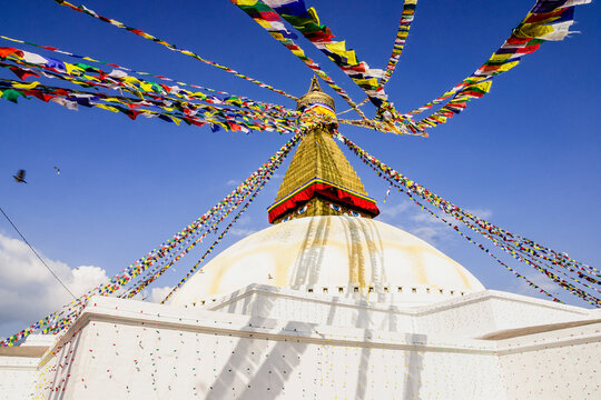 「Harmika」の画像 - 23 件の Stock 写真、ベクターおよびビデオ | Adobe Stock