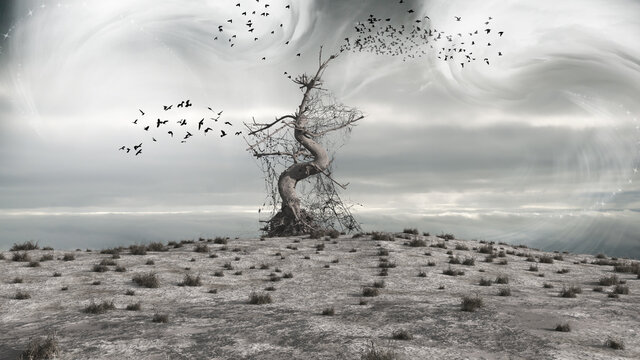 Free Tree Images – Browse 55,163 Free Stock Photos, Vectors, and Video ...