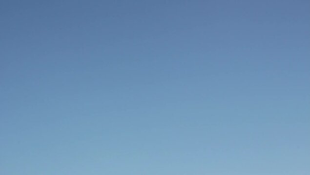 Soapy Images – Browse 51,386 Stock Photos, Vectors, and Video | Adobe Stock