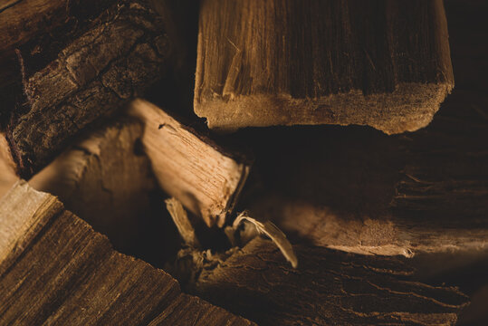 Matorro Images – Browse 6 Stock Photos, Vectors, and Video | Adobe Stock