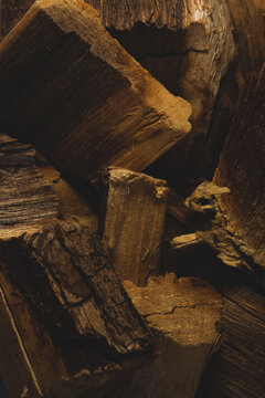 Matorro Images – Browse 6 Stock Photos, Vectors, and Video | Adobe Stock