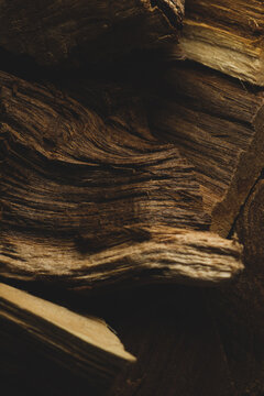 รูปภาพMatorro – เลือกดูภาพถ่ายสต็อก เวกเตอร์ และวิดีโอ6 | Adobe Stock