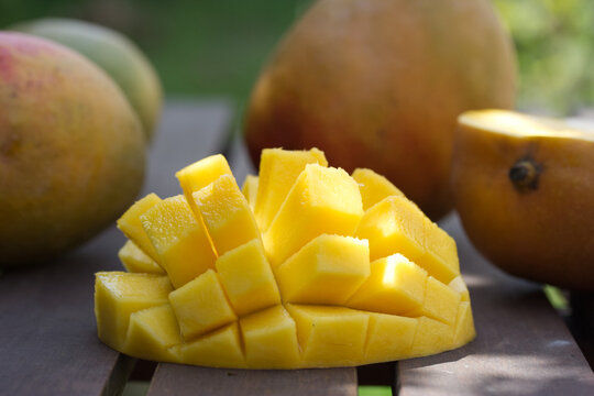 รูปภาพMangue – เลือกดูภาพถ่ายสต็อก เวกเตอร์ และวิดีโอ3,078 | Adobe Stock