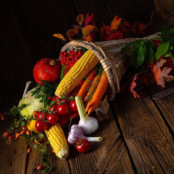 Cornocopia Bilder – Durchsuchen 110 Archivfotos, Vektorgrafiken und ...