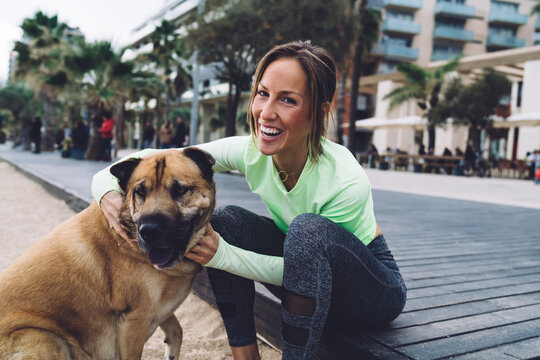 「Mongler」の写真素材 | 13件の無料イラスト画像 | Adobe Stock