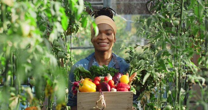 Harving Images – Browse 1,293 Stock Photos, Vectors, and Video | Adobe ...