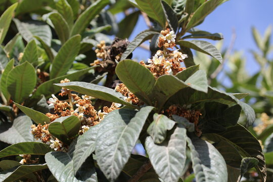 Bibace Images – Parcourir 91 le catalogue de photos, vecteurs et vidéos ...