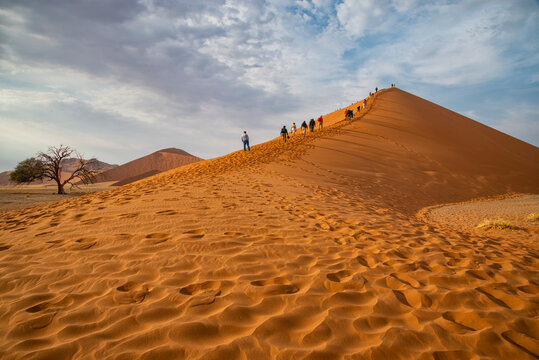 รูปภาพSossus – เลือกดูภาพถ่ายสต็อก เวกเตอร์ และวิดีโอ1,256 | Adobe Stock
