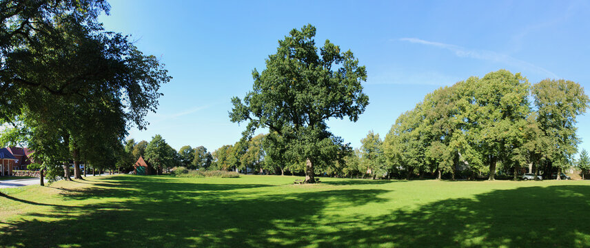 Angerdorf Images – Browse 20 Stock Photos, Vectors, and Video | Adobe Stock