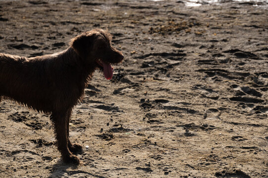 Portie Images – Browse 102 Stock Photos, Vectors, and Video | Adobe Stock