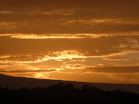 Marsh Night Bilder – Durchsuchen 8,931 Archivfotos, Vektorgrafiken und ...